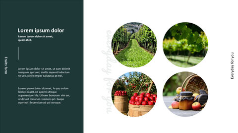 Obstfarm Präsentationsdesign