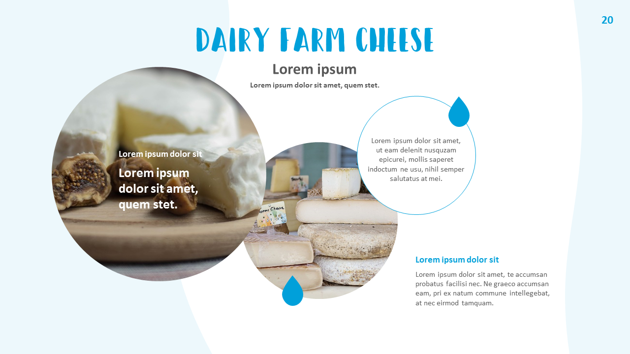 Dairy Farming Simple Templates Design