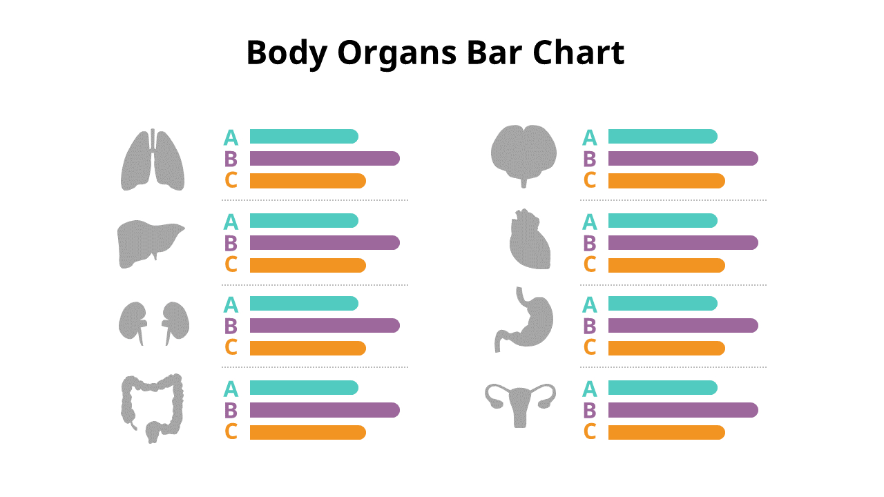 Various Types of Bar Chart Infographic Diagram