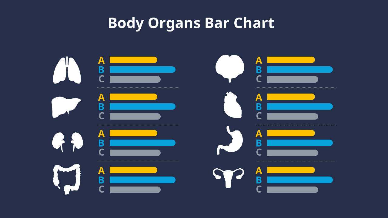 Various Types of Bar Chart Infographic Diagram