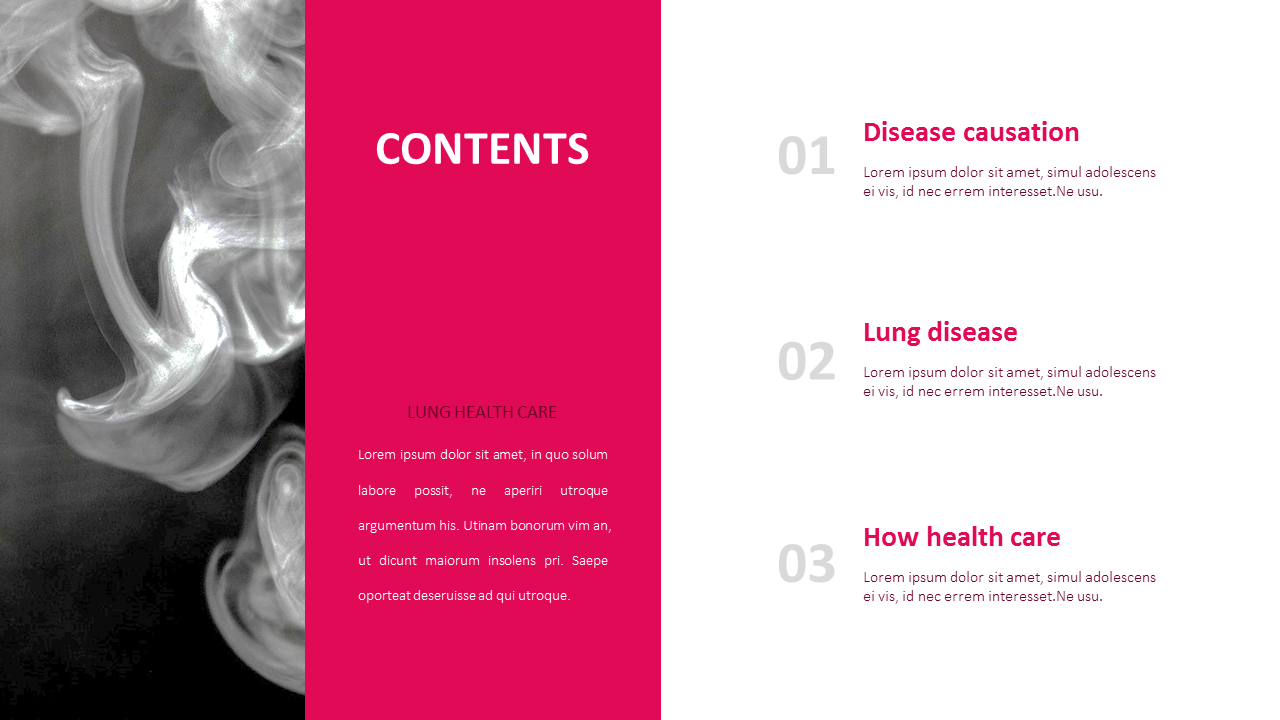 Lung Health Care PPT Presentation