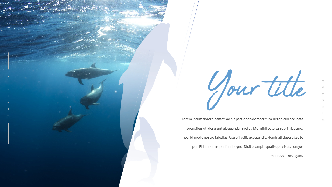 Dolphin PowerPoint Templates Multipurpose Design