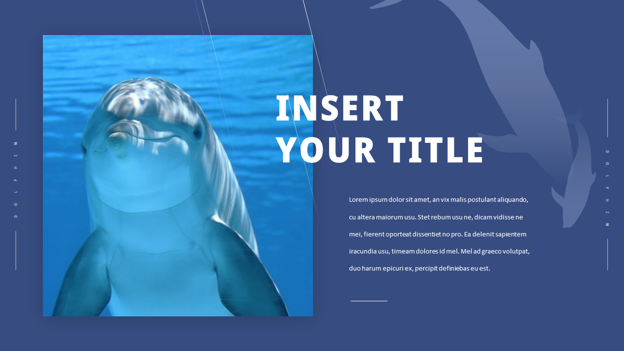Dolphin PowerPoint Templates Multipurpose Design