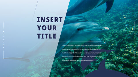 돌고래 파워포인트 템플릿 멀티디자인