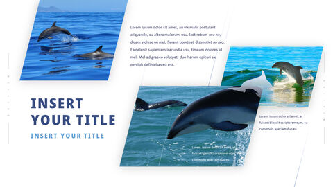 Dolphin PowerPoint Templates Multipurpose Design