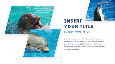 Dolphin PowerPoint Templates Multipurpose Design