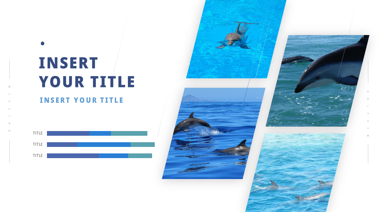 Dolphin PowerPoint Templates Multipurpose Design
