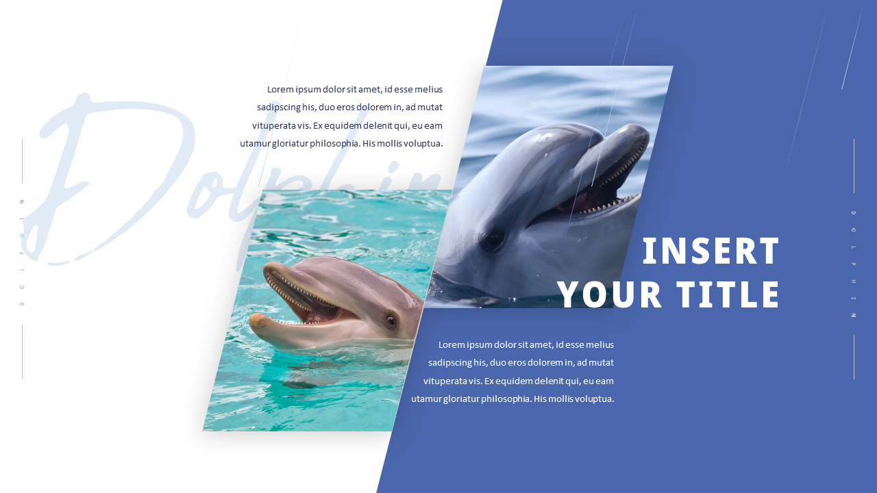 Delfín Plantillas de PowerPoint Diseño multipropósito