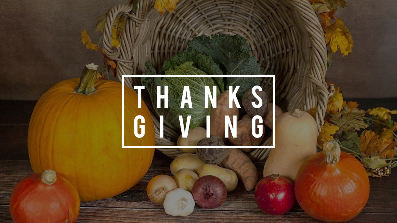 Thanksgiving|Theme Slides|Diagram