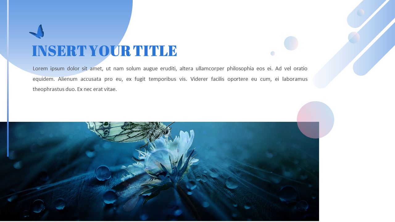 Butterfly Slide Presentation