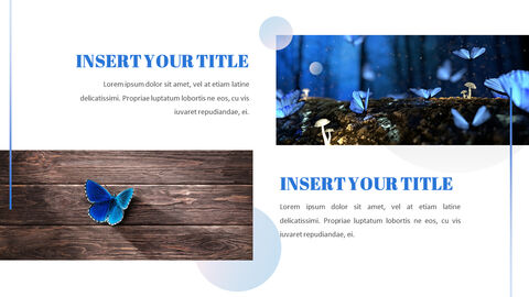 Butterfly Slide Presentation