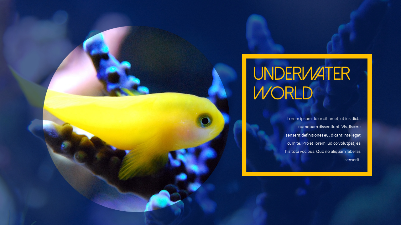 Underwater animations for powerpoint - bpobomb