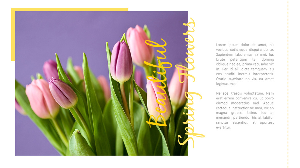 Spring Flowers Presentation PowerPoint Templates Design