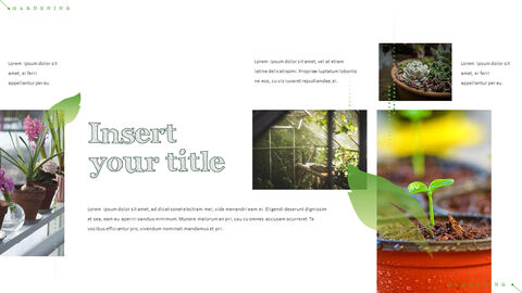 Gardening PPT Presentation