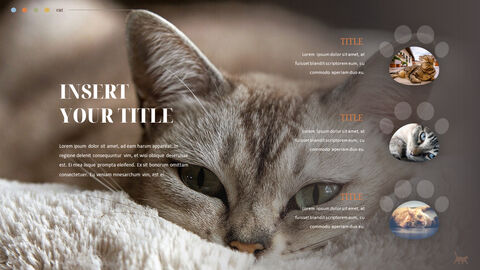 Cat Presentation PowerPoint Templates Design