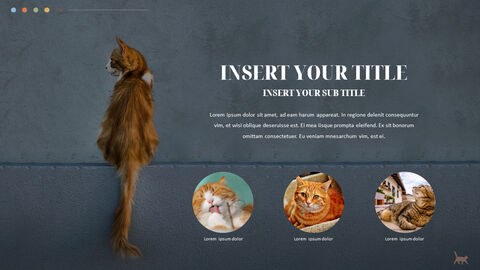 Cat Presentation PowerPoint Templates Design