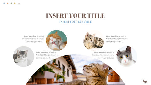 Cat Presentation PowerPoint Templates Design