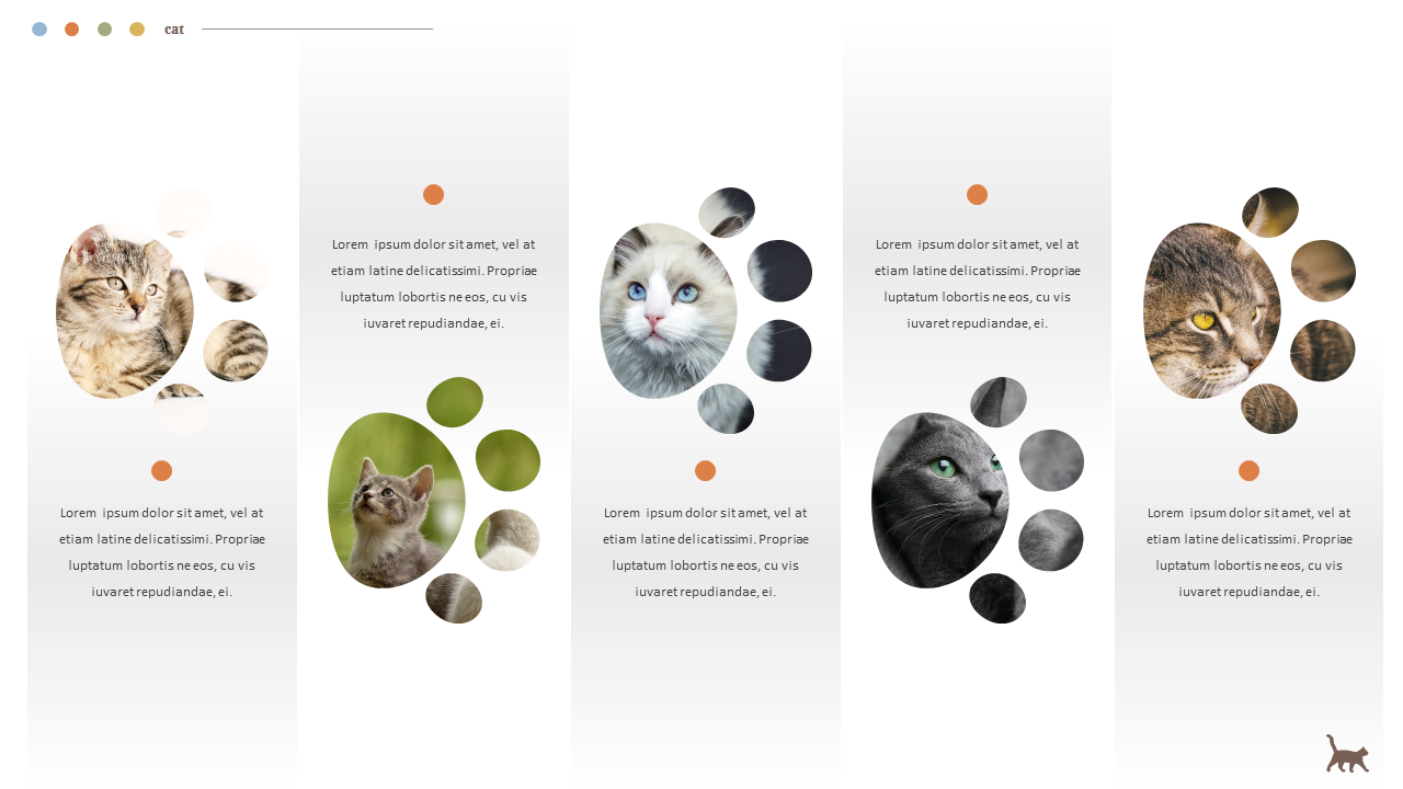 Cat Presentation PowerPoint Templates Design