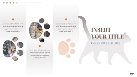 Cat Presentation PowerPoint Templates Design