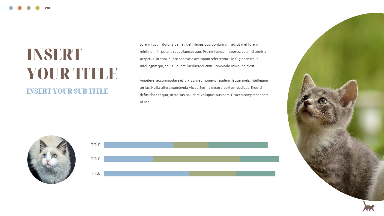 Cat Presentation PowerPoint Templates Design