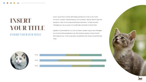 Cat Presentation PowerPoint Templates Design