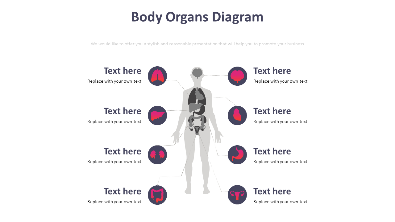 Body Organs Diagram
