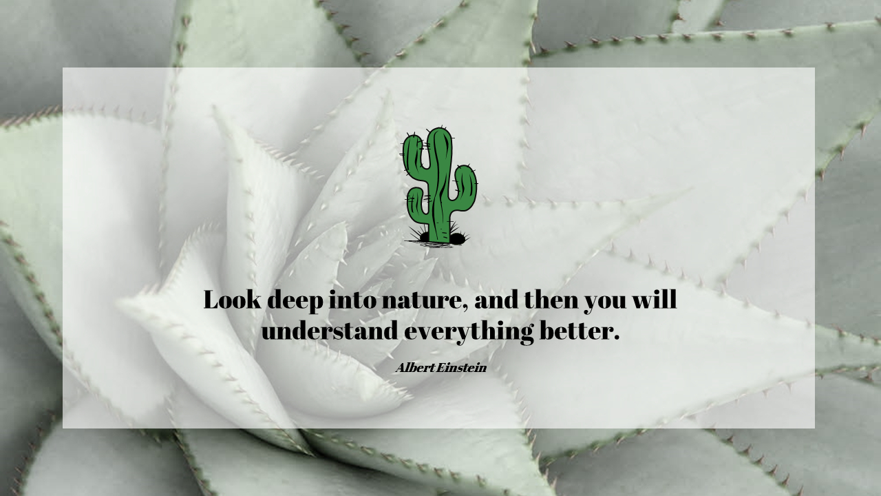 Cactus Simple PowerPoint Template Design