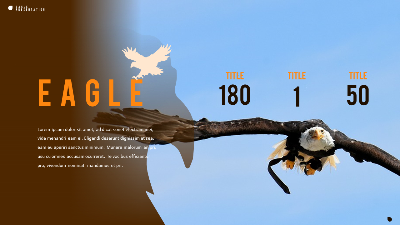 Eagle PowerPoint Presentation Templates