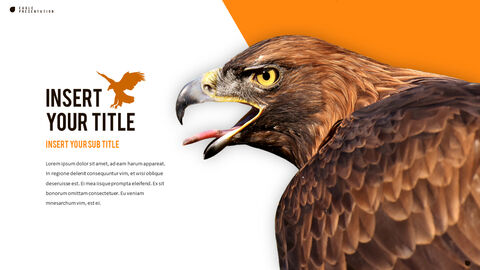 Eagle PowerPoint Presentation Templates