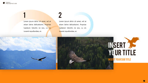 Eagle PowerPoint Presentation Templates