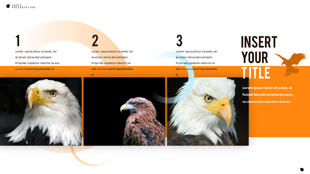 Eagle PowerPoint Presentation Templates
