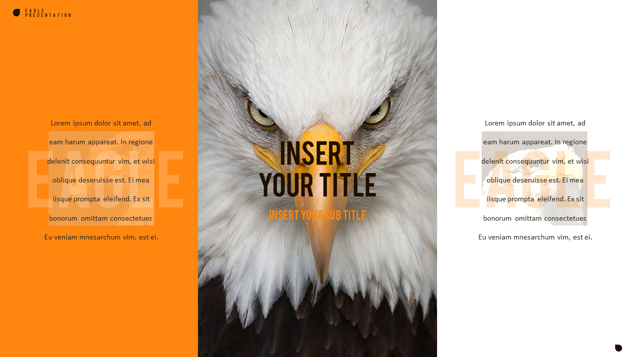 Eagle PowerPoint Presentation Templates