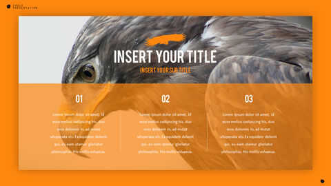 Eagle PowerPoint Presentation Templates