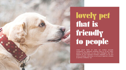 Lovely Pet Simple PowerPoint Templates
