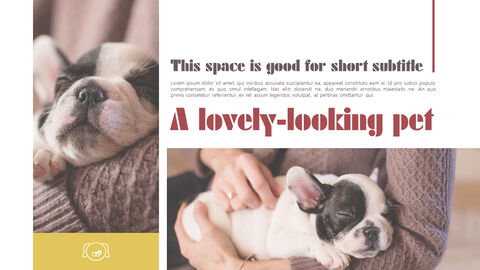 Lovely Pet Simple PowerPoint Templates