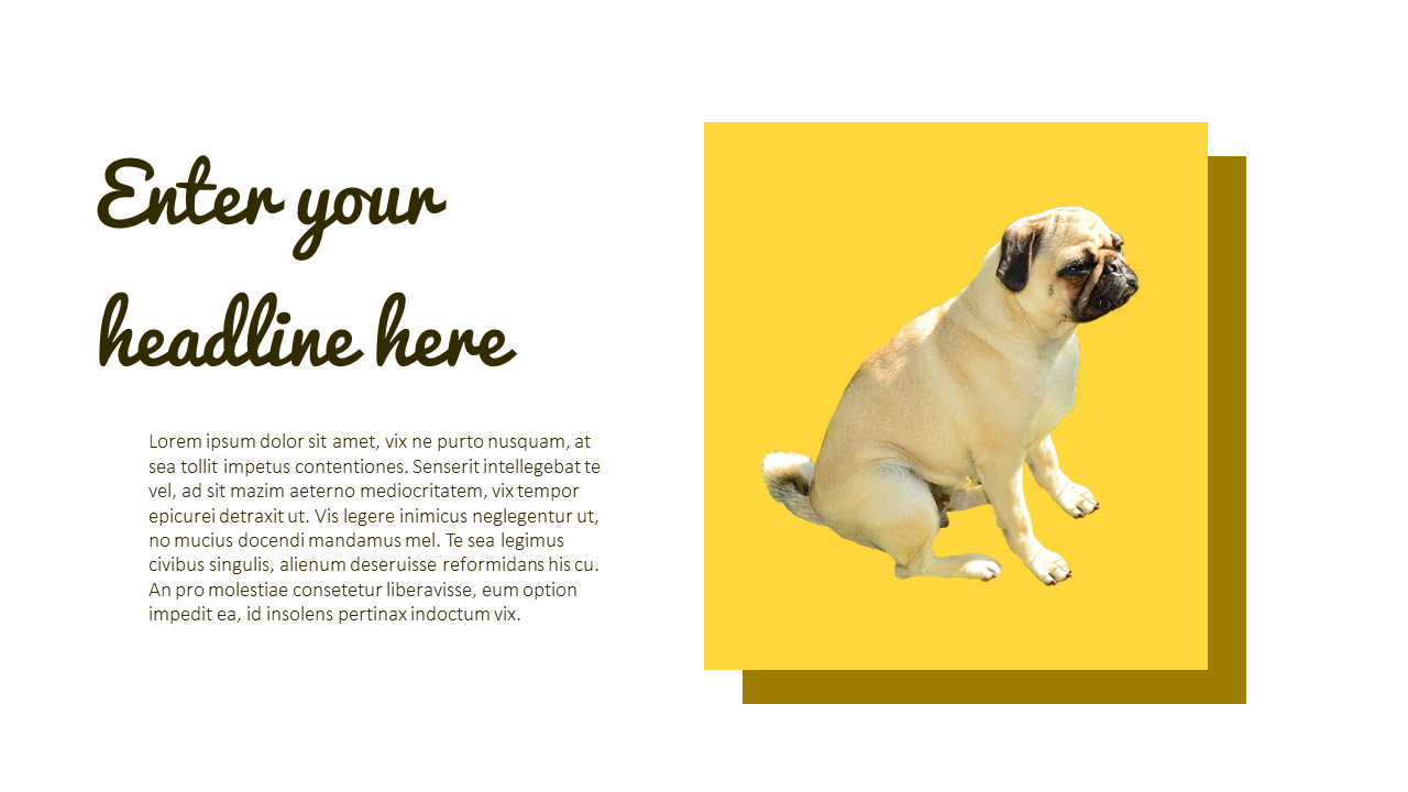 Puppy Behavior Analysis Templates Design