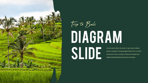 Trip to Bali Presentation PowerPoint Templates Design