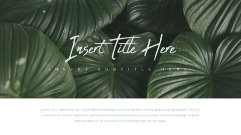 Botanical PowerPoint Templates for Presentation