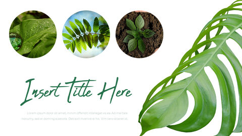 Botanical PowerPoint Templates for Presentation