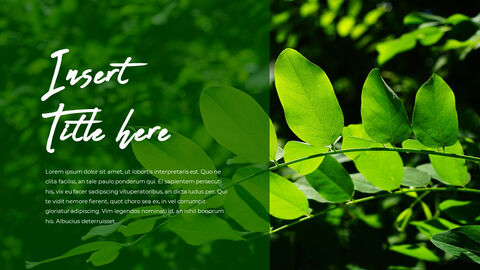 Botanical PowerPoint Templates for Presentation
