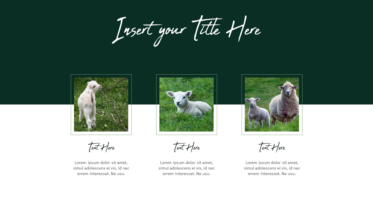 Farm and Livestock Powerpoint Presentation