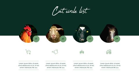 Farm and Livestock Powerpoint Presentation