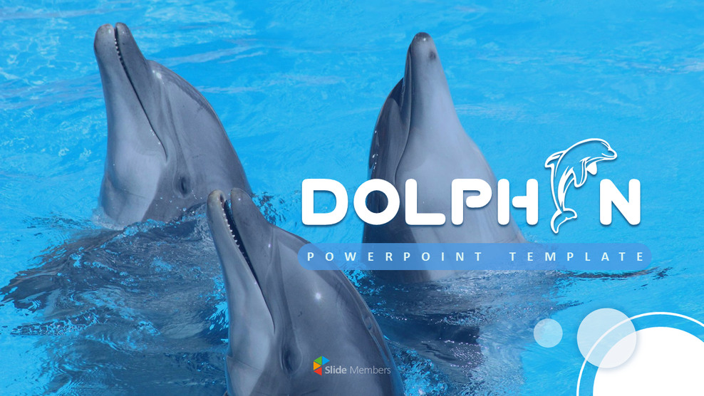 돌고래 프레젠테이션용 PowerPoint 템플릿