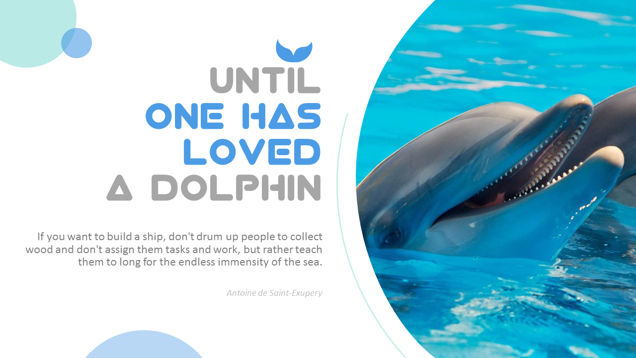 Dolphin PowerPoint Templates for Presentation