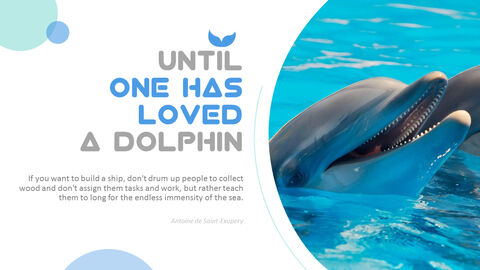 Dolphin PowerPoint Templates for Presentation