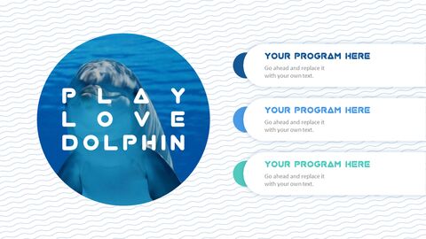 Dolphin PowerPoint Templates for Presentation