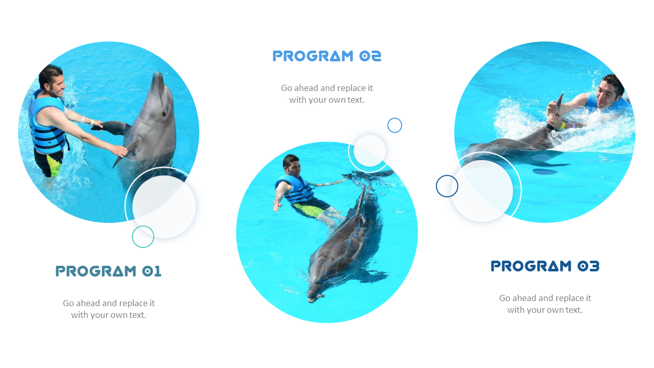 Dolphin PowerPoint Templates for Presentation