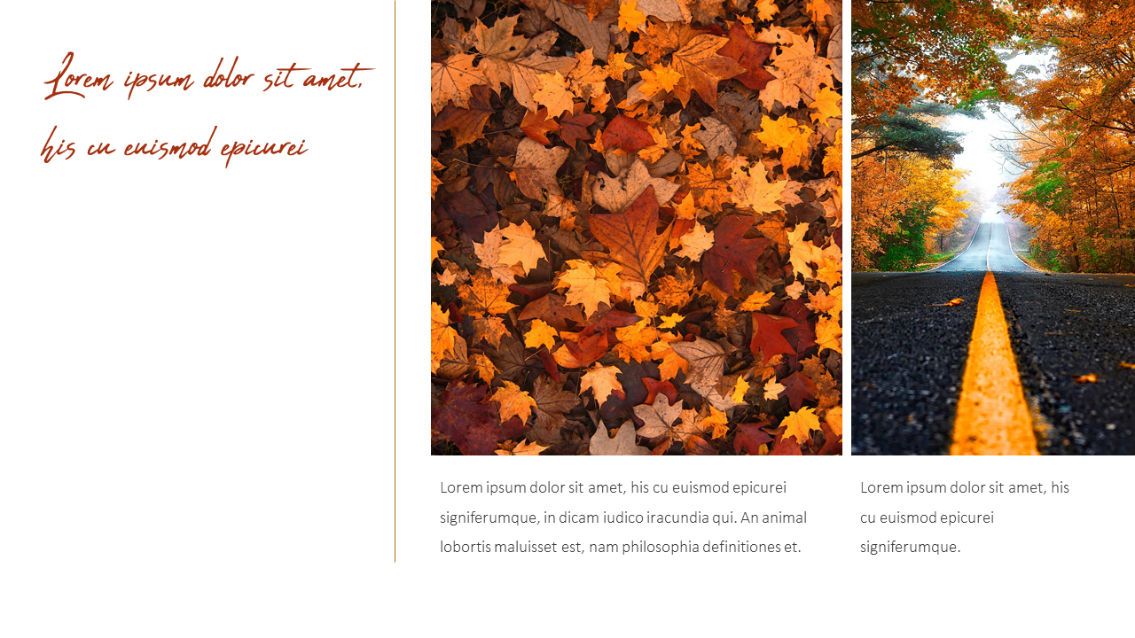 Fall Theme PPT Templates
