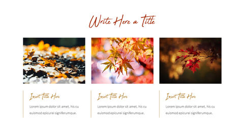 Fall Theme PPT Templates