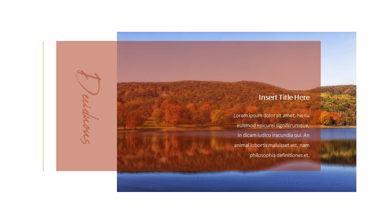 Fall Theme PPT Templates